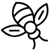 Utah Online School Alternative | Grades 7-12 | ThrivePoint Academy